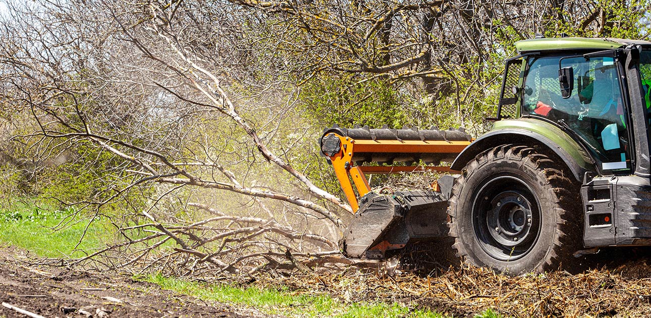 Municipal land management with heavy-duty mulchers | efficient ...